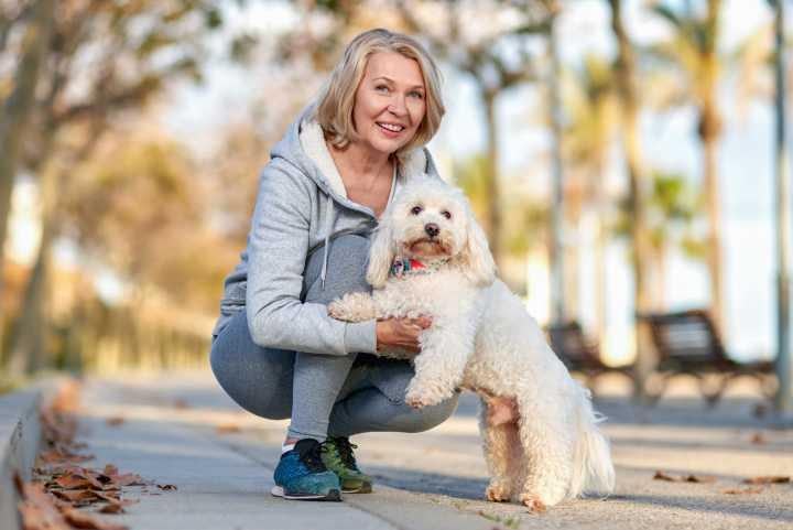 Best Dog Breeds for Active Adults